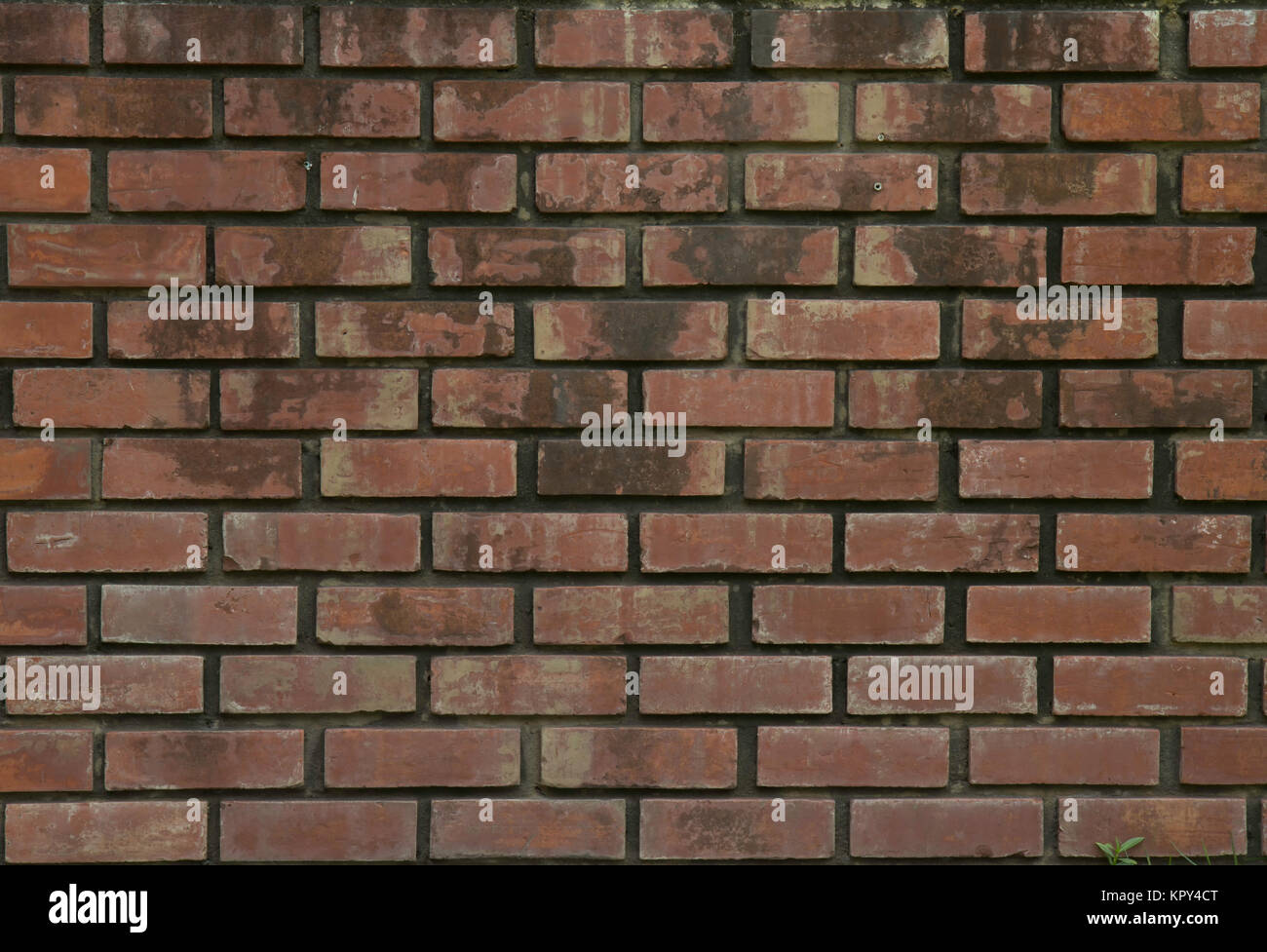 Dirty brick wall texture Stock Photo - Alamy