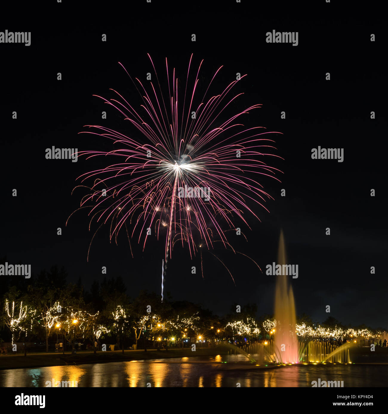 Fireworks in the city park Stock Photo - Alamy