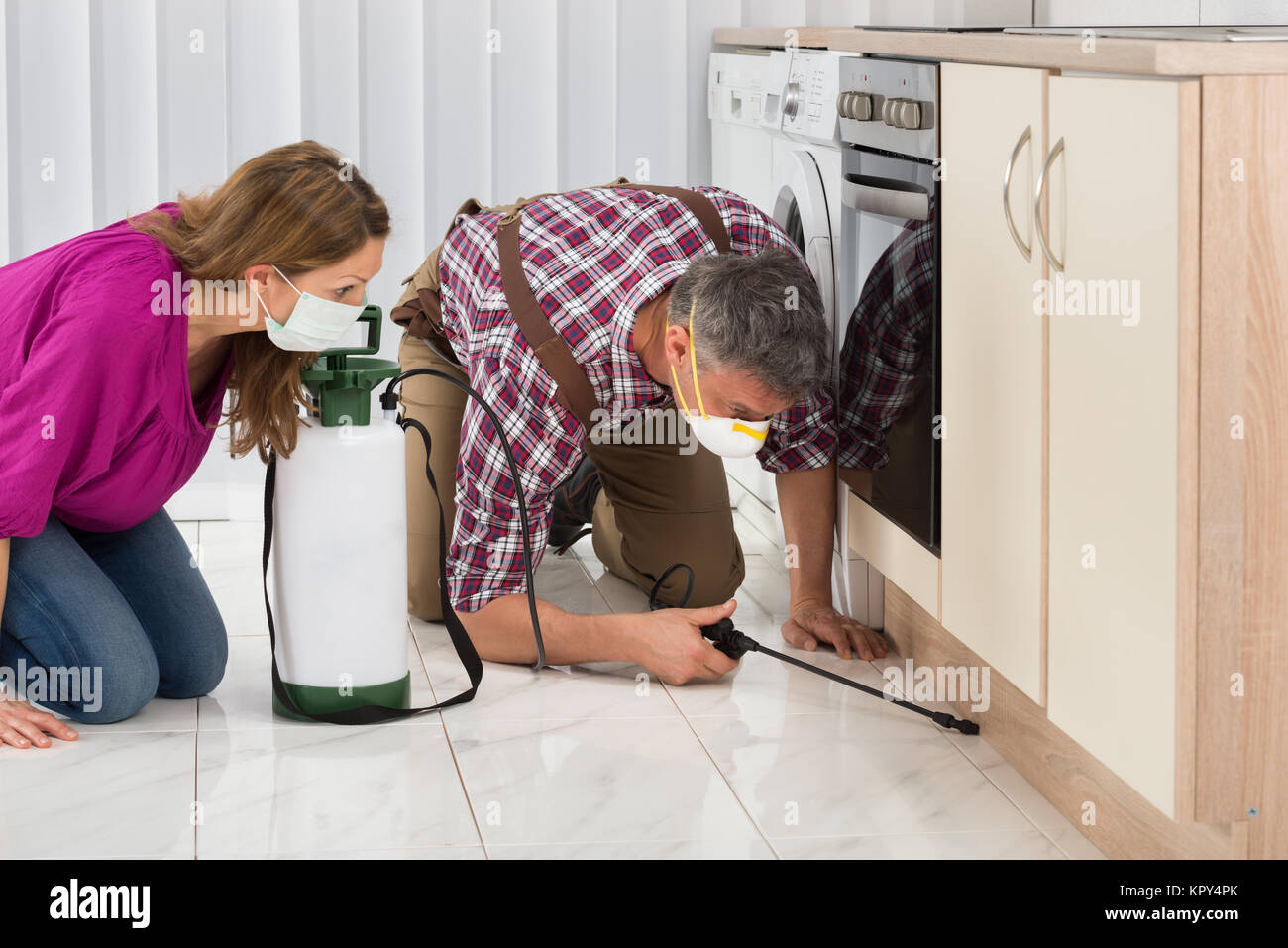 Male Worker Spraying Insecticide In Kitchen Stock Photo - Alamy