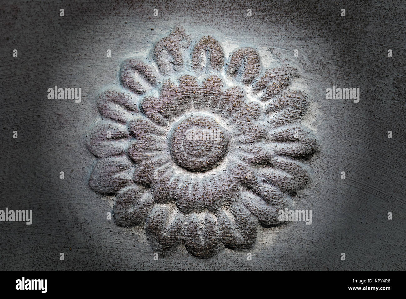 Rosette plant flower hi-res stock photography and images - Alamy