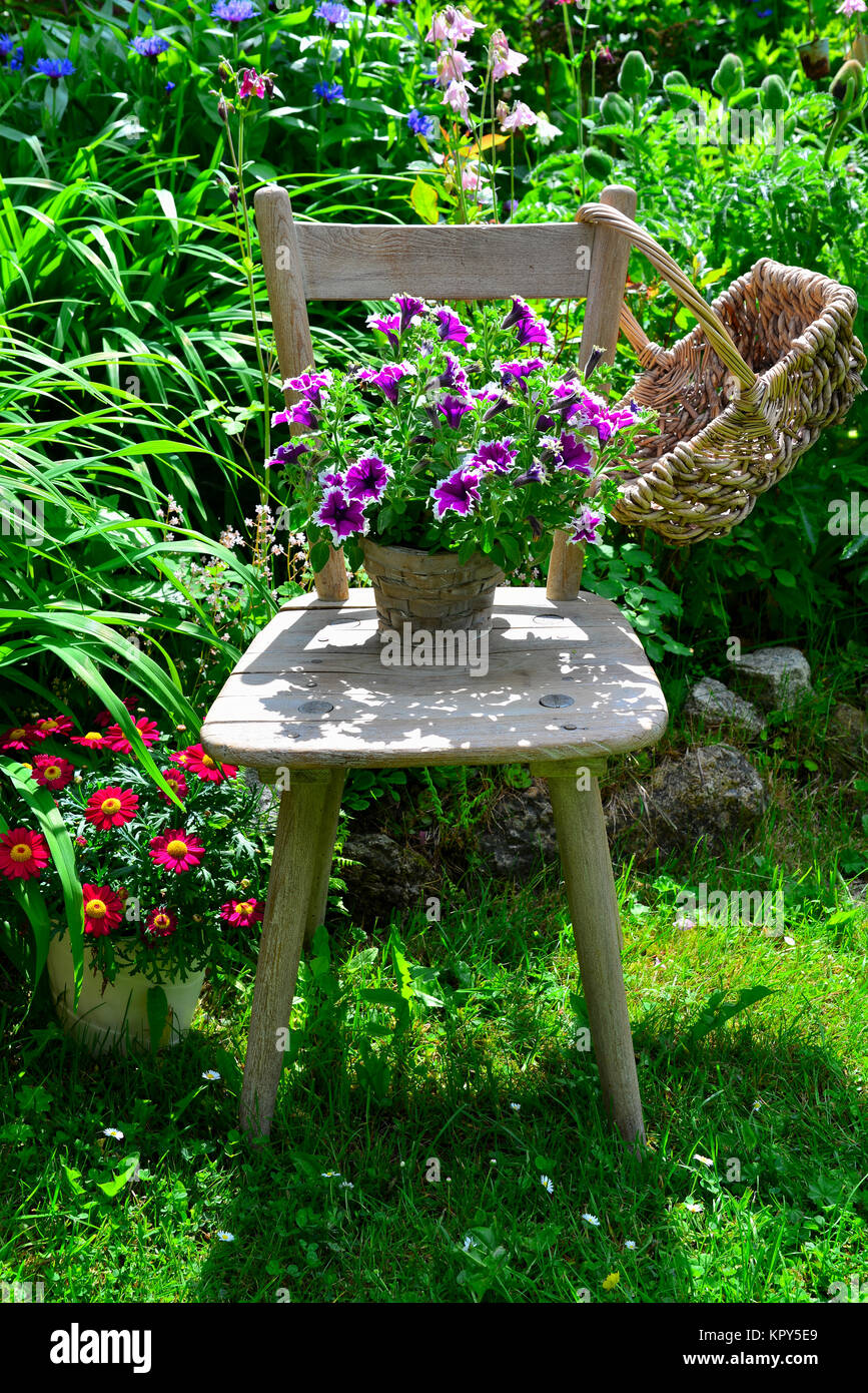 old chair in the garden with flowers Stock Photo - Alamy