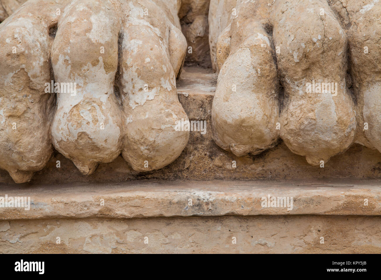 Lion feet hi-res stock photography and images - Alamy