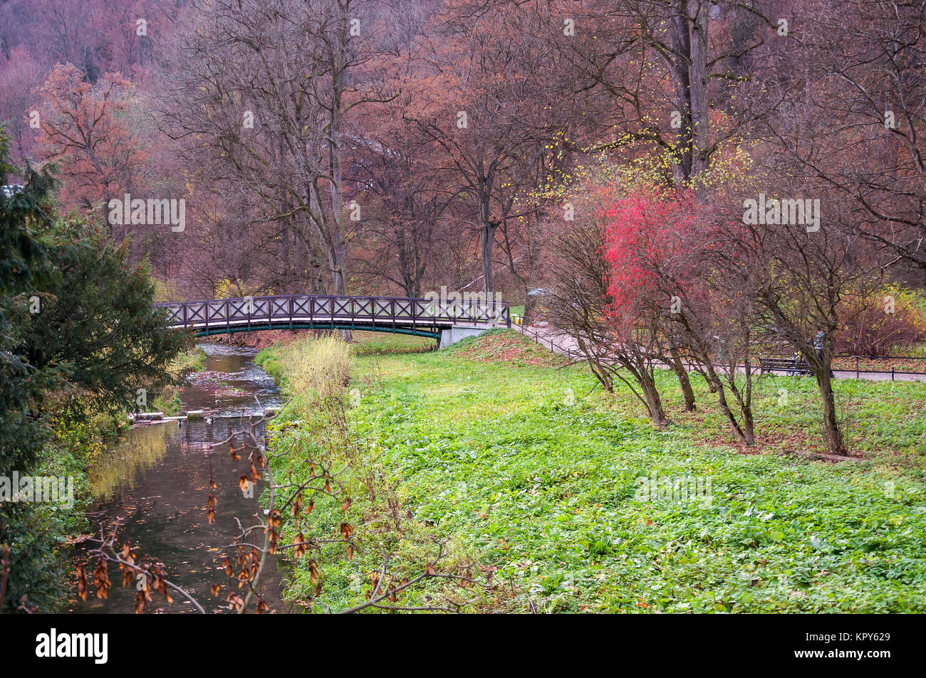 pradnik river in ojcow national park at autumn,poland Stock Photo - Alamy
