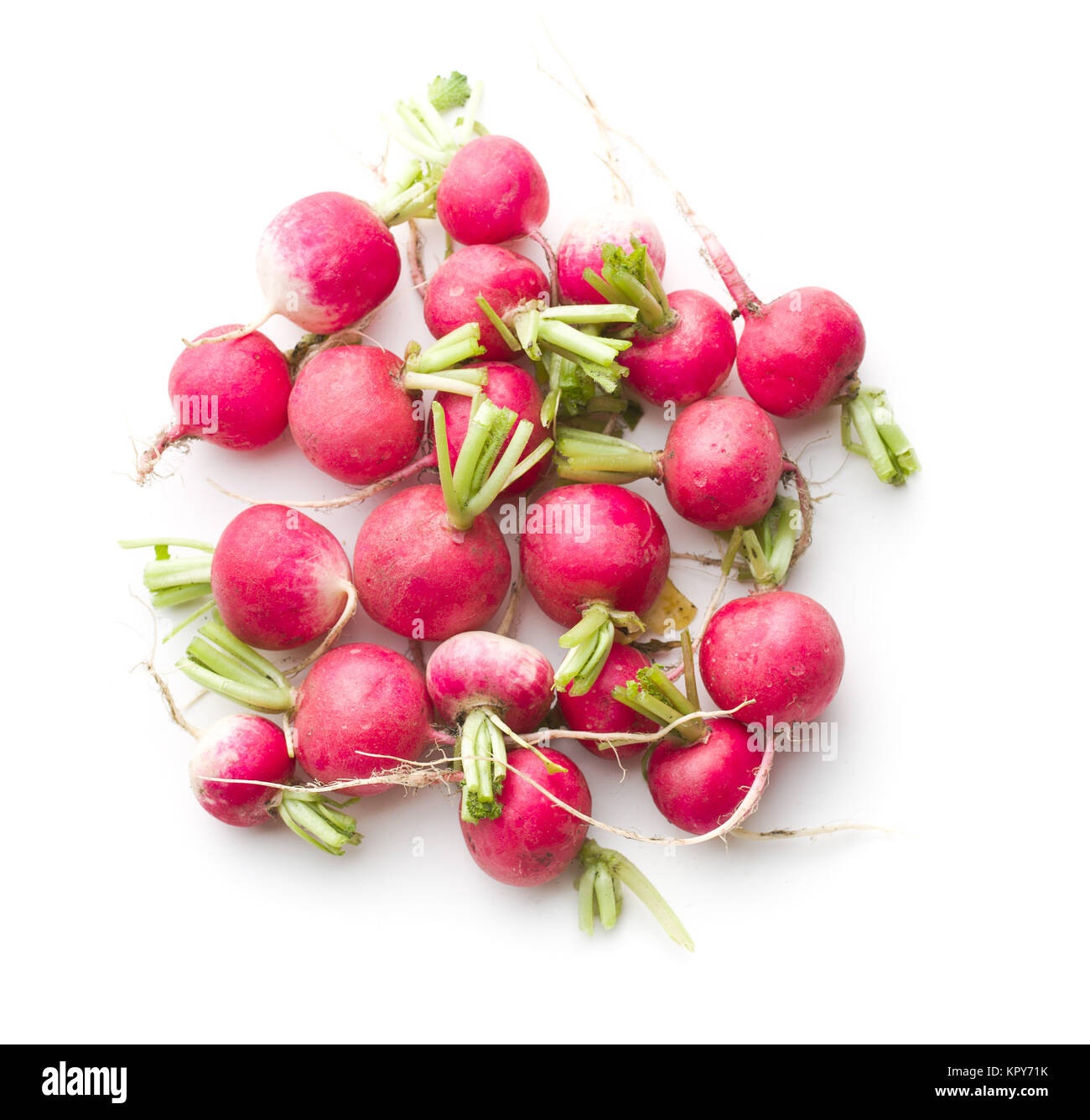 Fresh radishes vegetable Stock Photo - Alamy