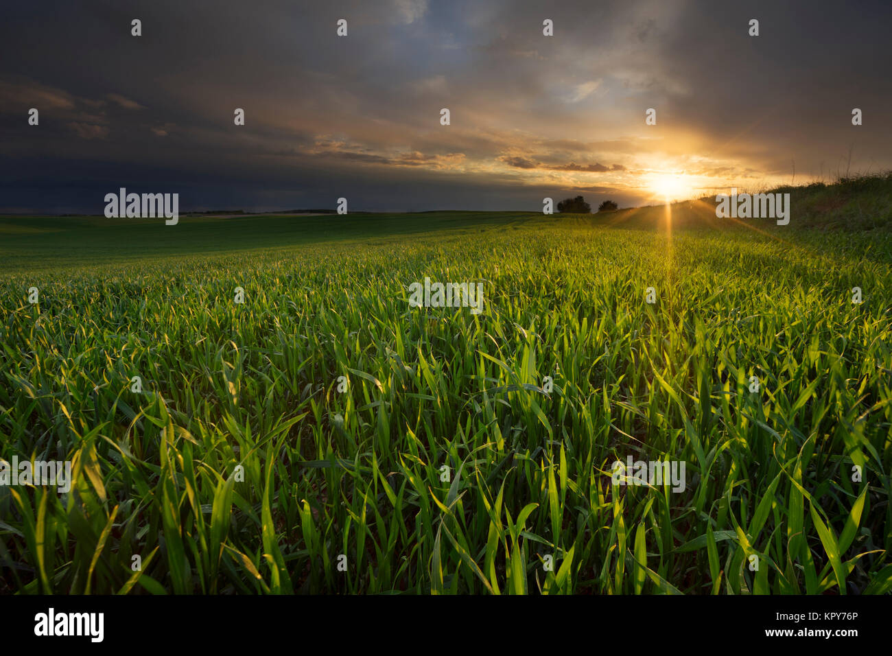 Storm Dark Clouds Over Field Stock Photo - Alamy