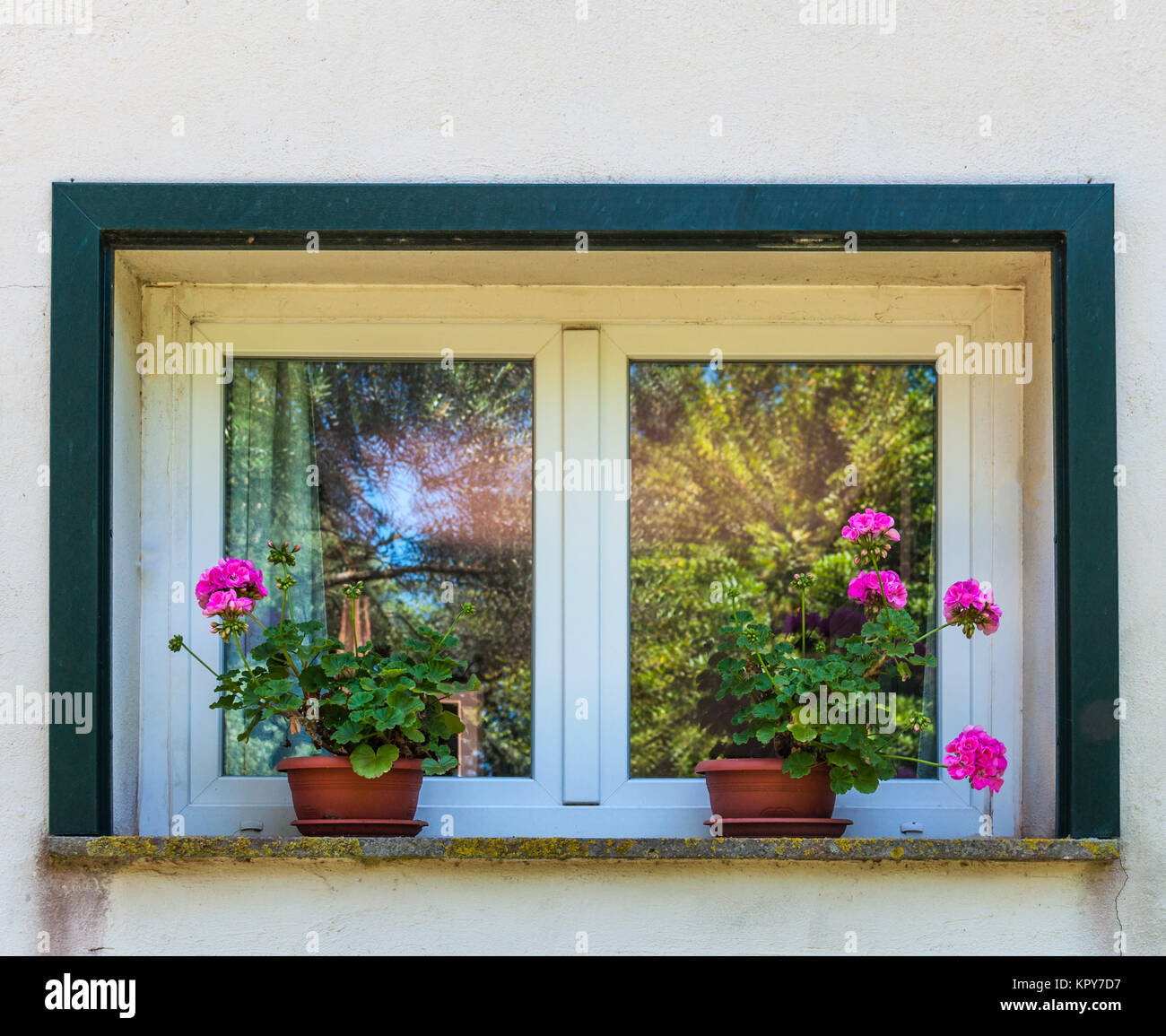 Old windows with flowers on sill Stock Photo - Alamy