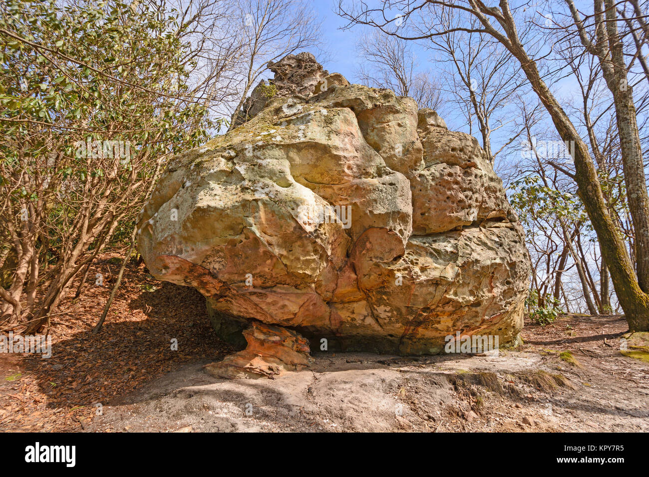 Sandstone Boulder in the Forest Stock Photo - Alamy