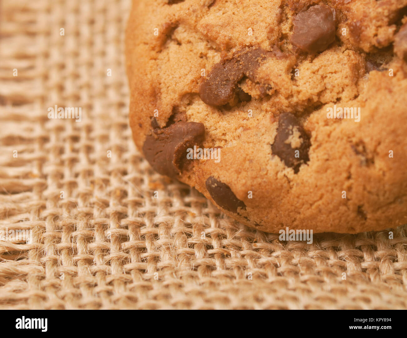 A closeup shot of a chocolate chip cookie . studio shot Stock Photo - Alamy