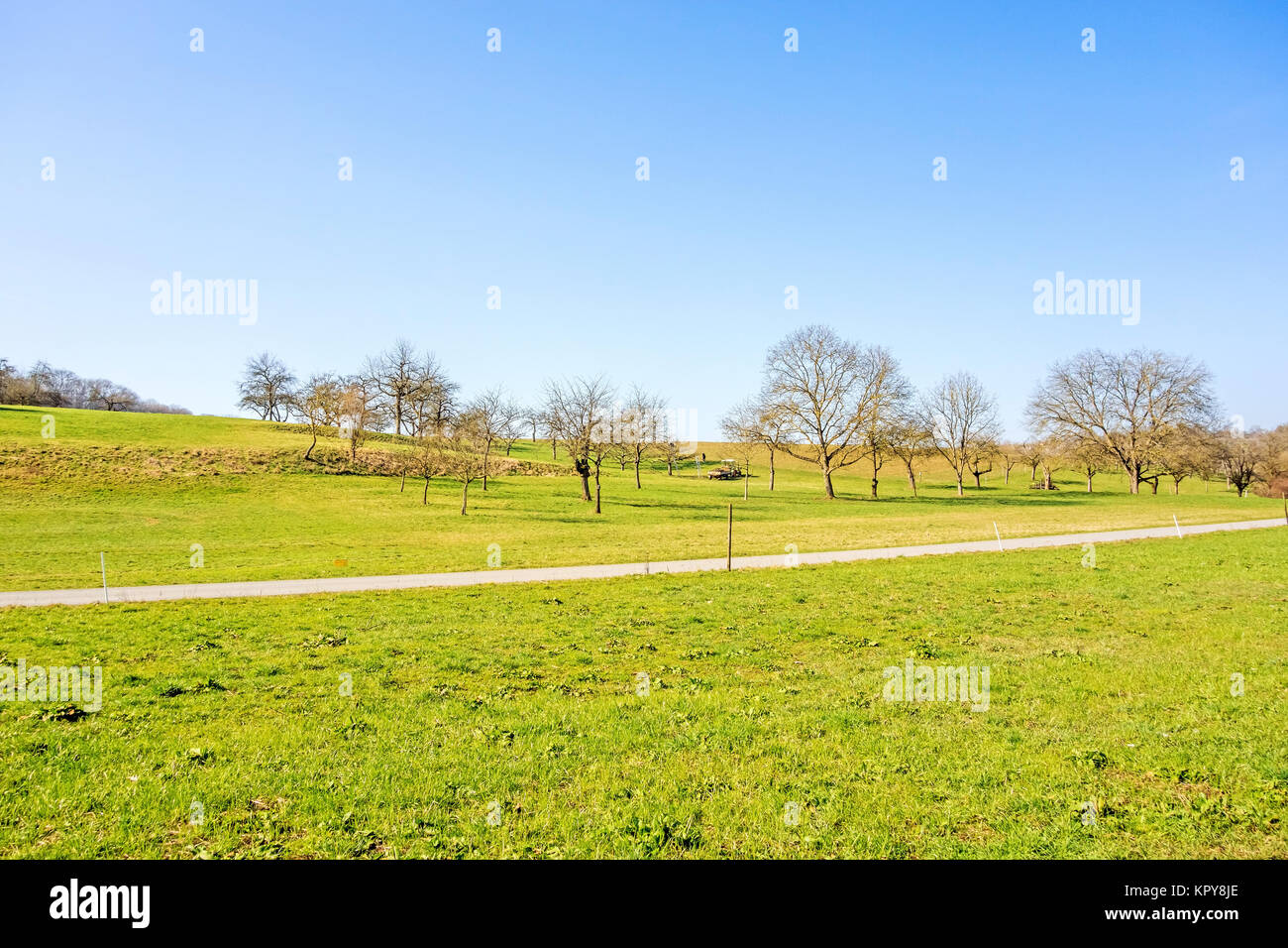 green rural landscape Stock Photo - Alamy