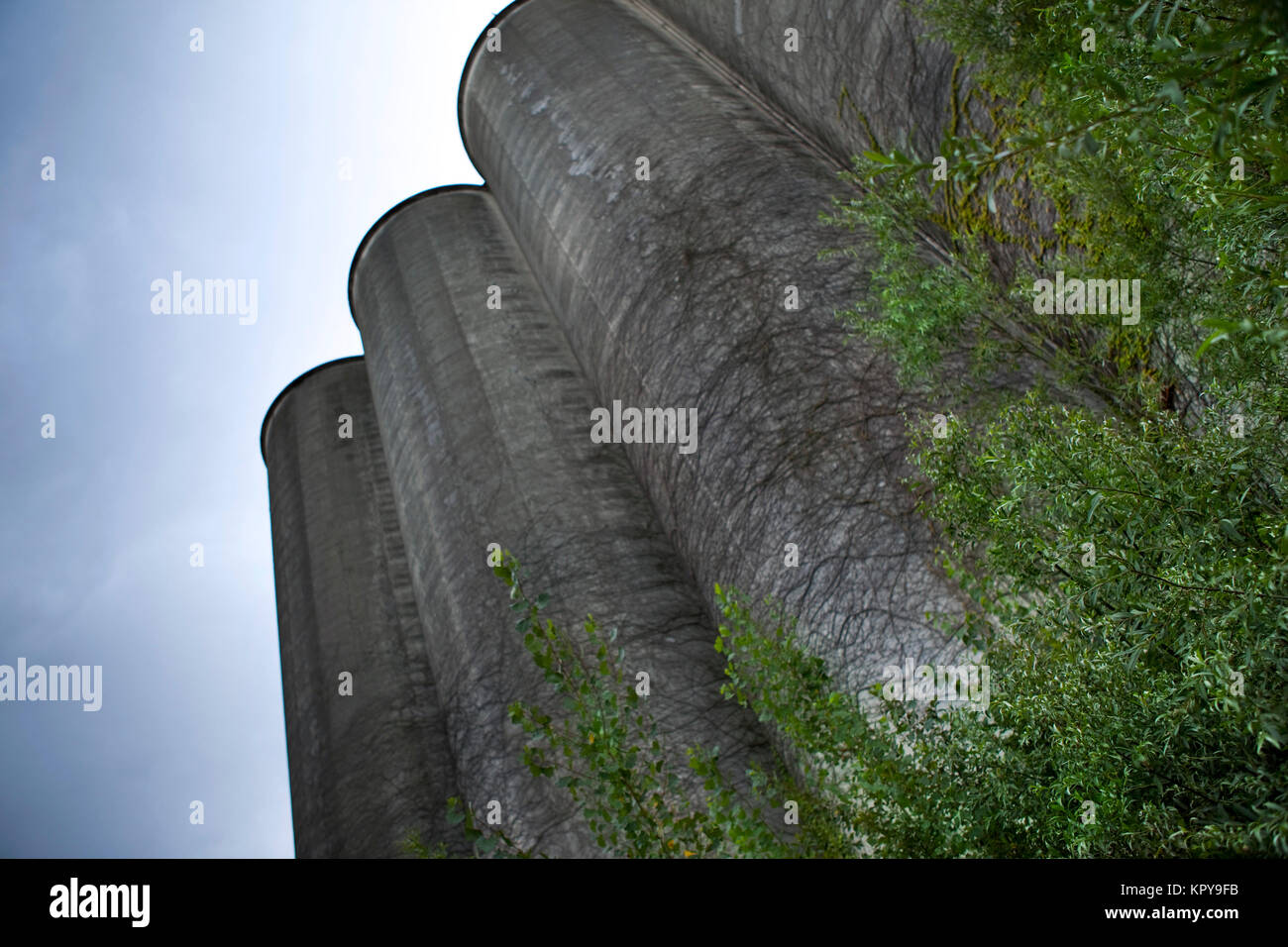 Trees and concrete silos Stock Photo - Alamy