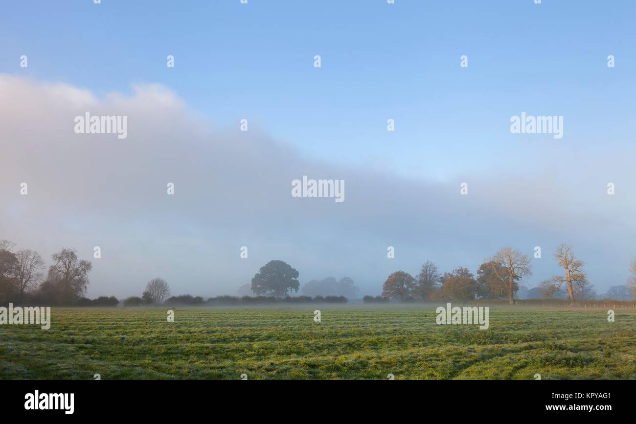 Rural Cotswolds with mist, Gloucestershire, England Stock Photo - Alamy