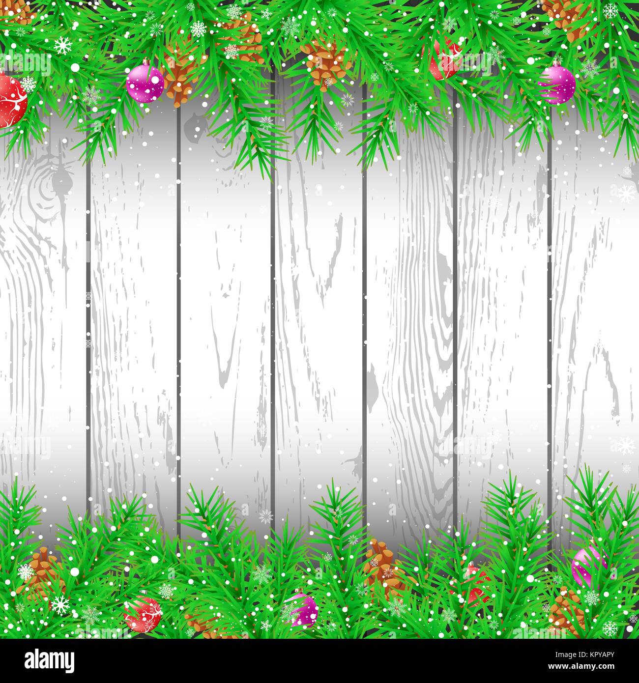 White spruce plant white background Stock Vector Images - Alamy