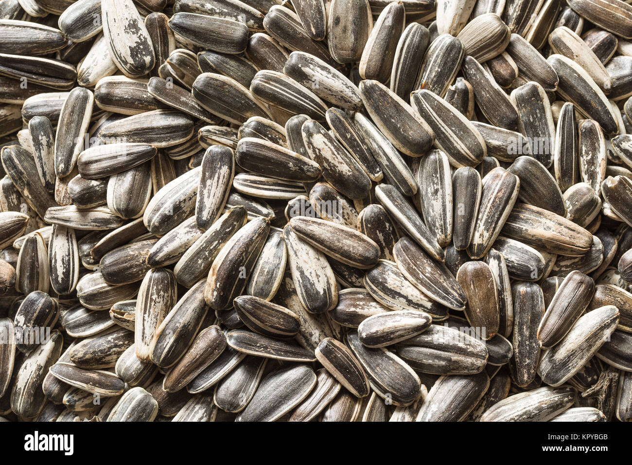 Unpeeled sunflower seeds Stock Photo - Alamy