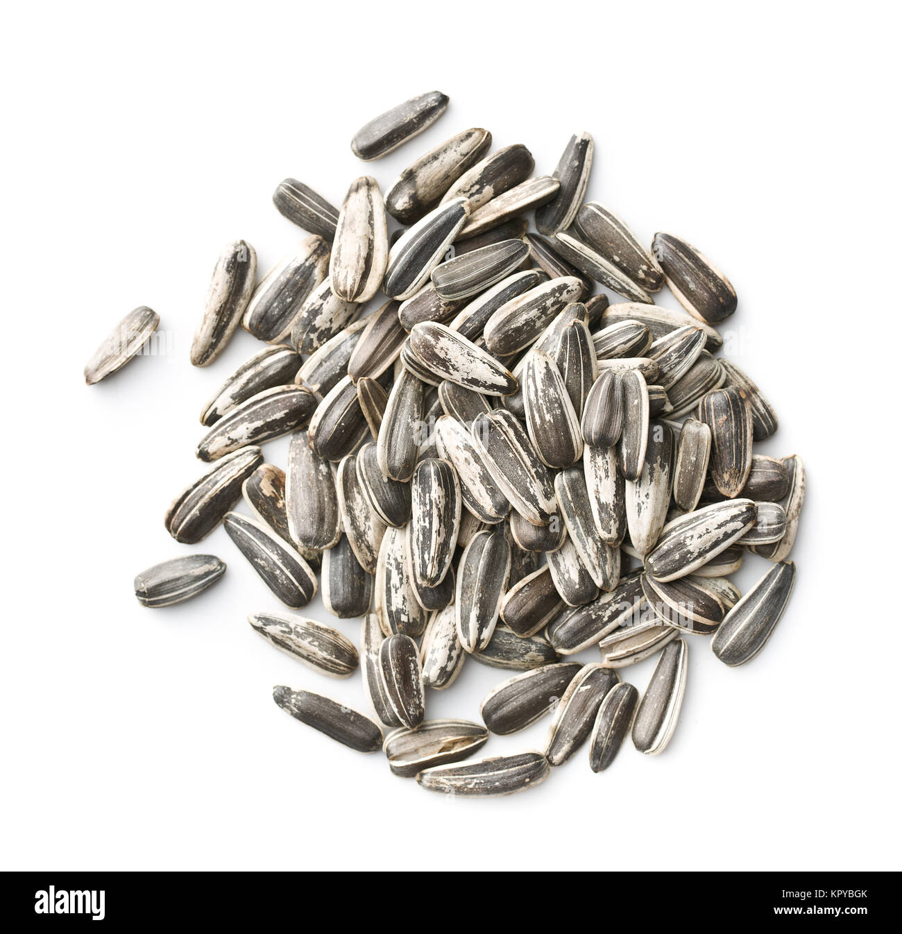 Unpeeled sunflower seeds Stock Photo - Alamy