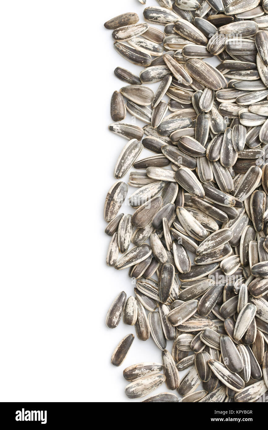 Unpeeled sunflower seeds Stock Photo - Alamy