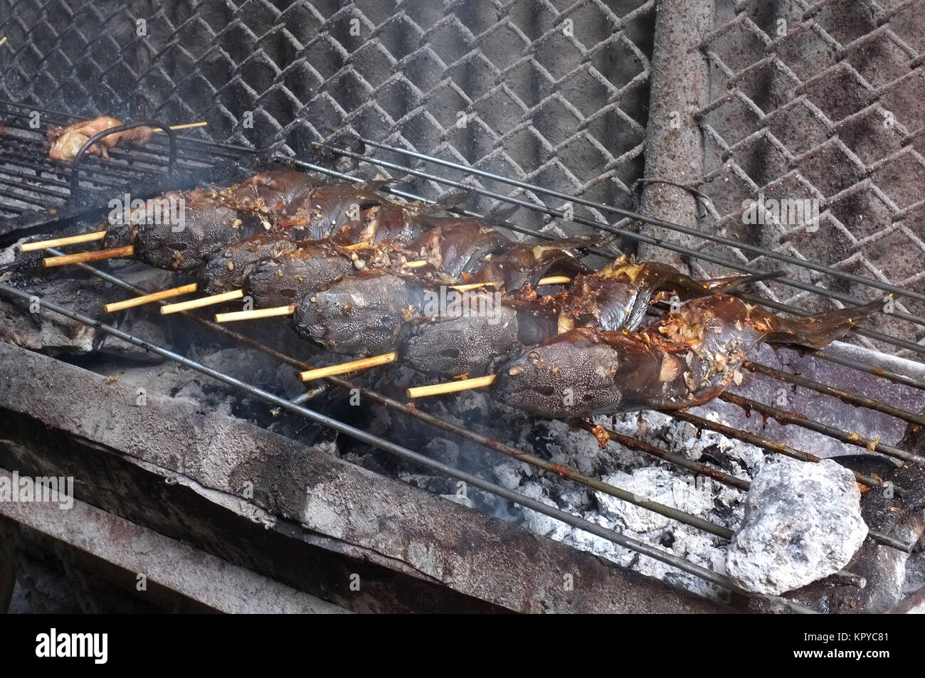 Grill cat fish on hot charcoal stove Stock Photo - Alamy