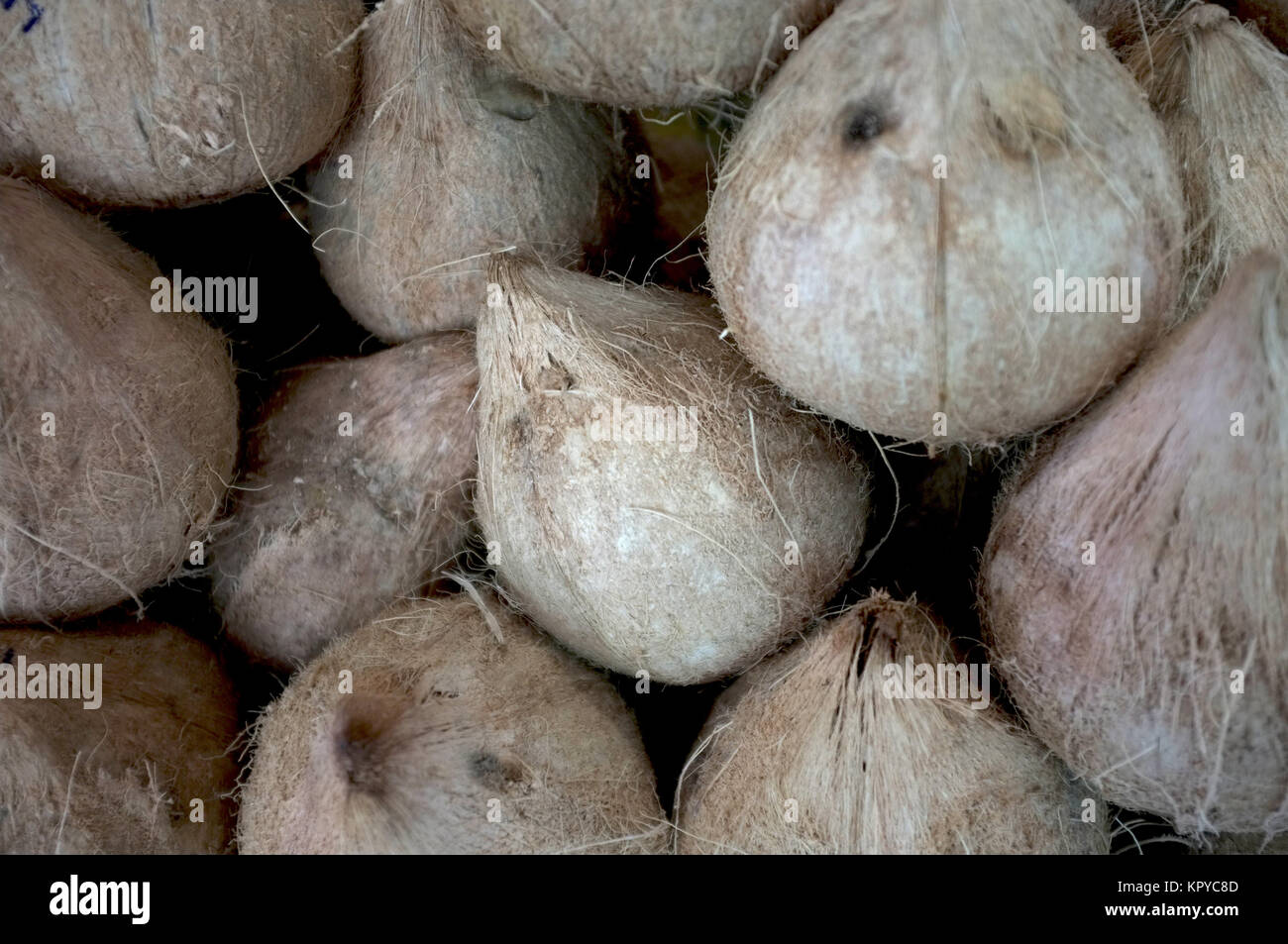 Roasted young sweet coconut Stock Photo - Alamy