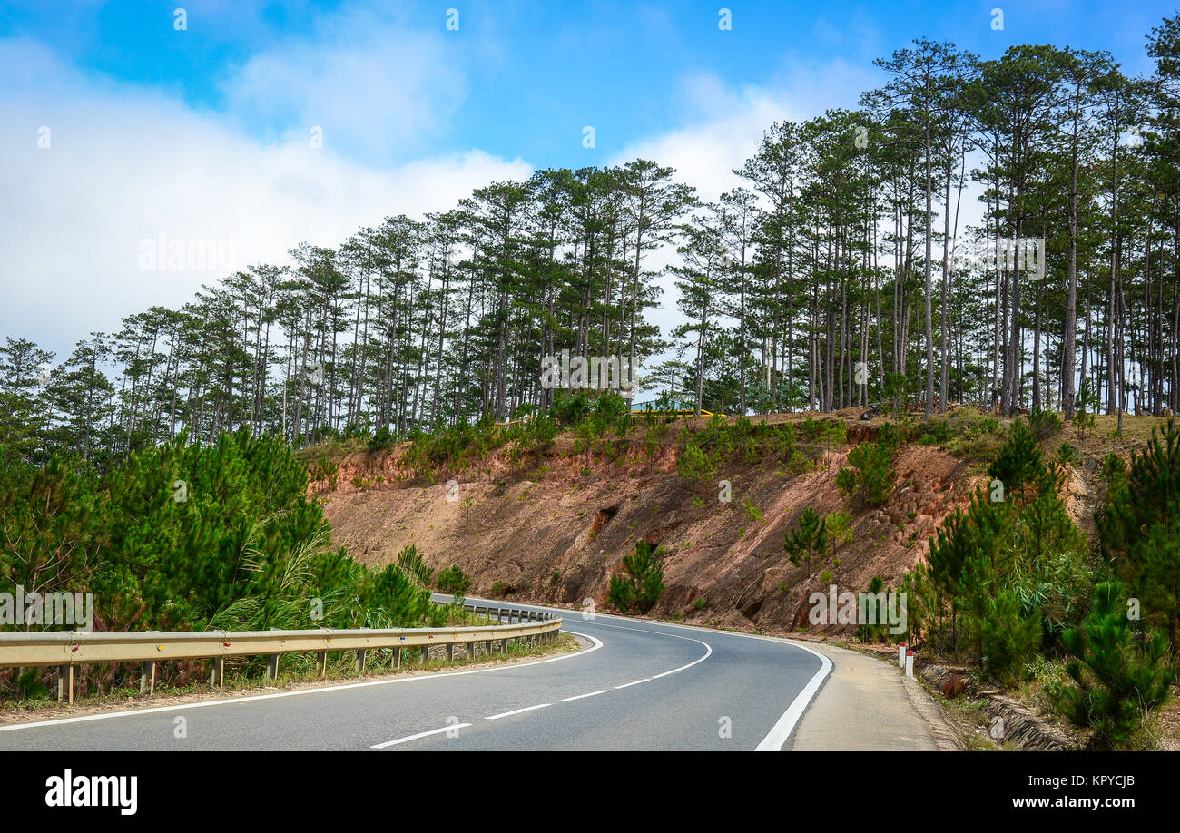 Mountain road with pine trees at sunny day in Dalat, Vietnam Stock ...