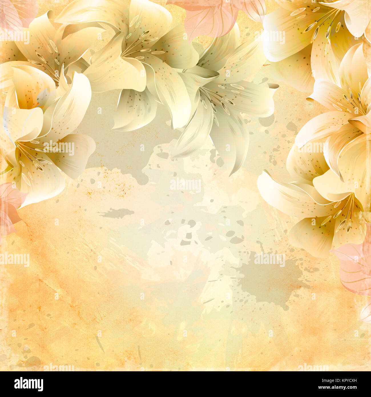 Old grunge paper background with flowers of lily Stock Photo - Alamy