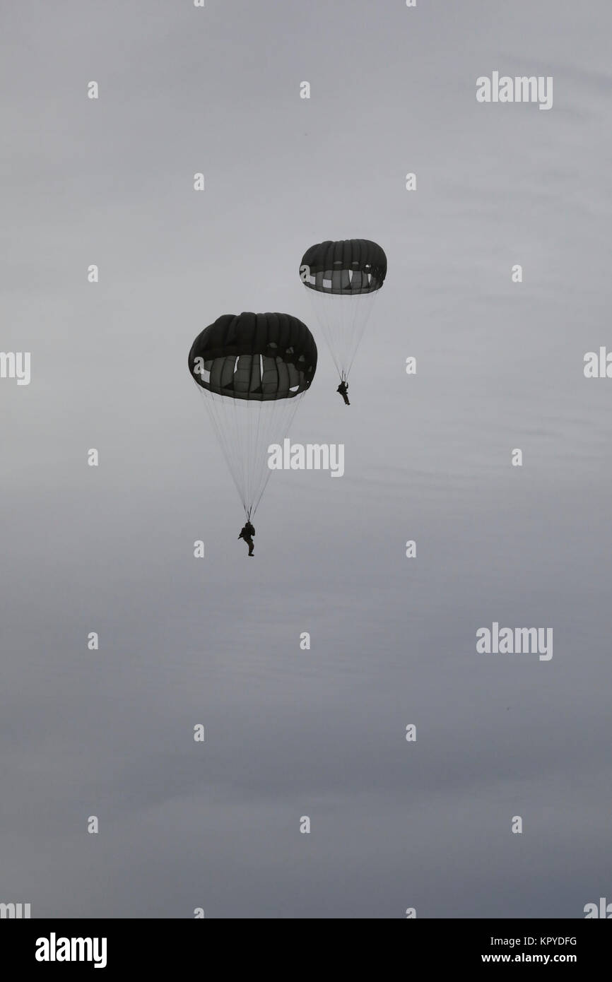 U.S. Army paratroopers fill the sky after jumping from the UH-60 Black ...