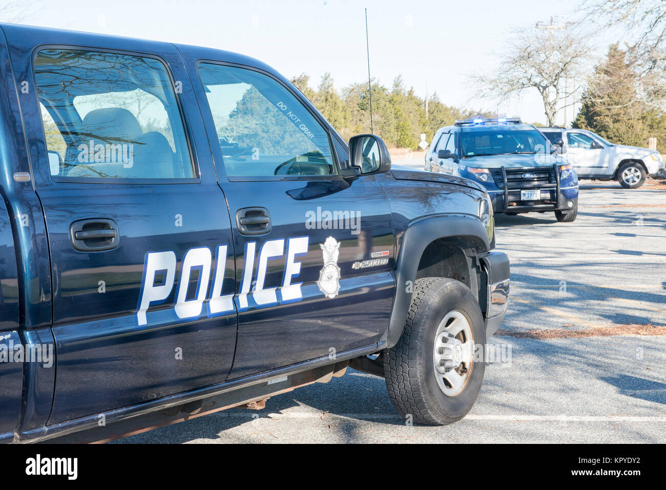 Heather on cape cod hi-res stock photography and images - Alamy
