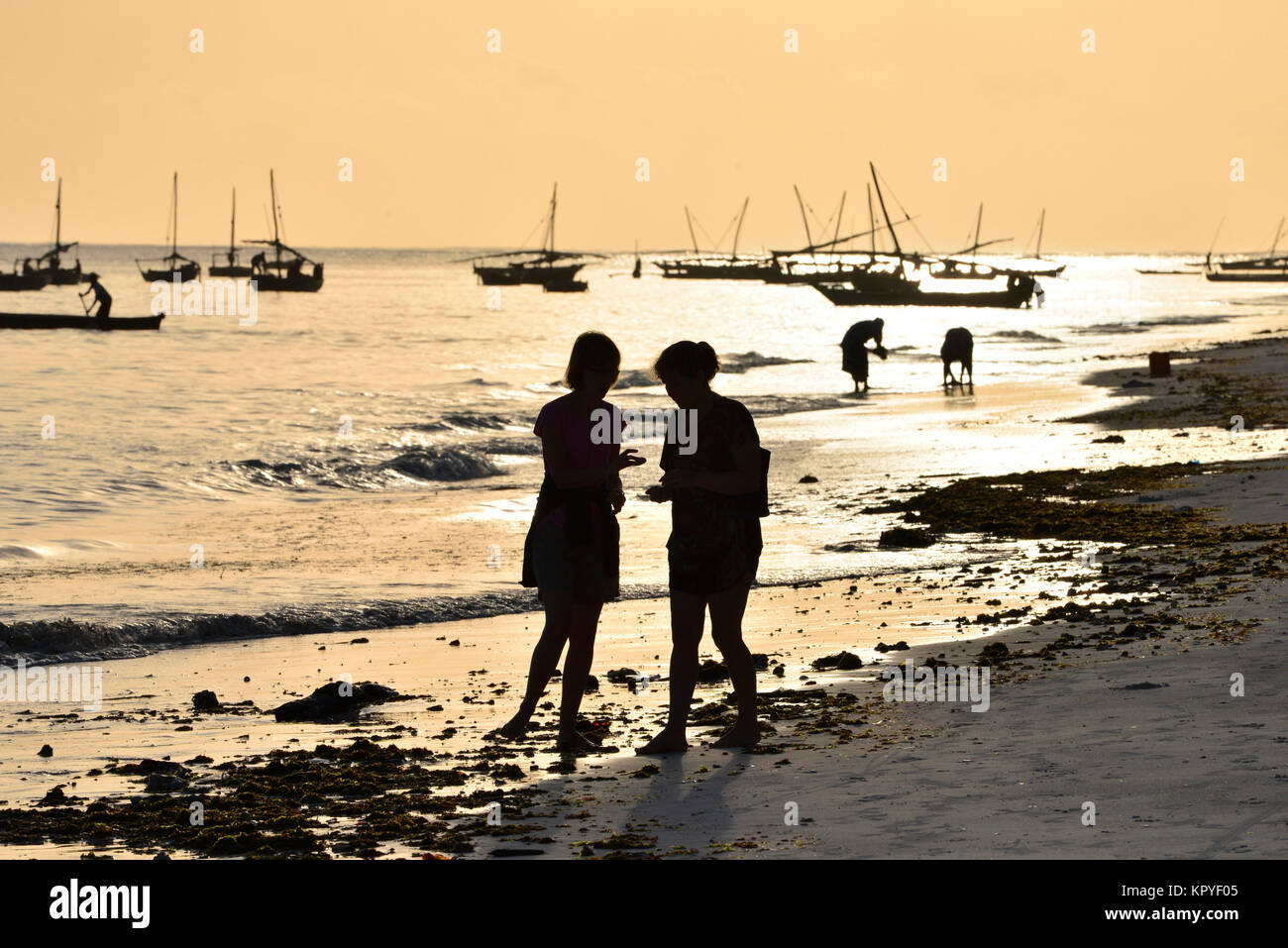 Sunrise by the sea in Zanzibar, tropical island paradize of Tanzania ...