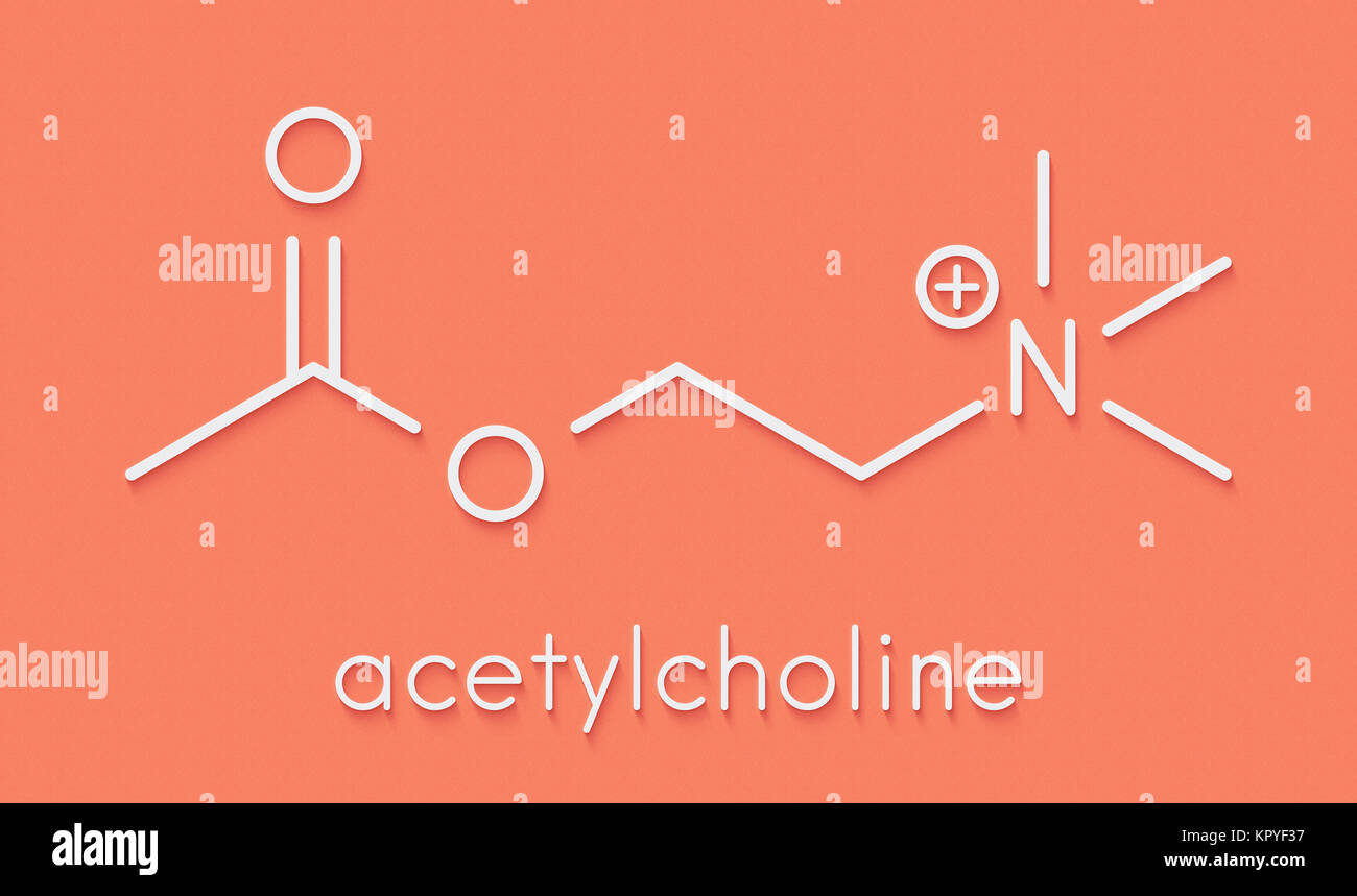 Acetylchloline (ACh) neurotransmitter molecule. Skeletal formula Stock ...