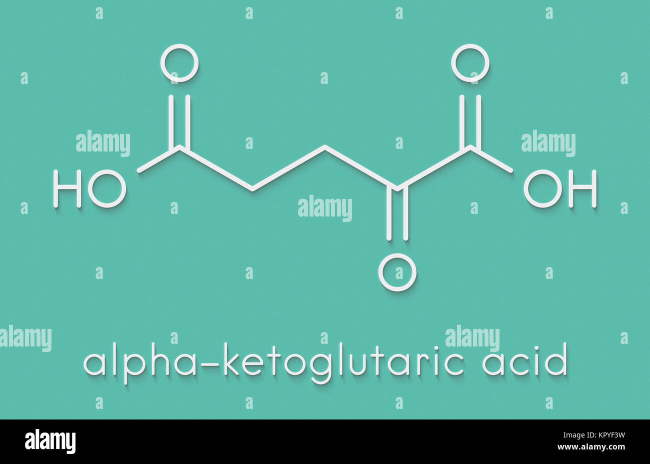 Krebs cycle hi-res stock photography and images - Alamy