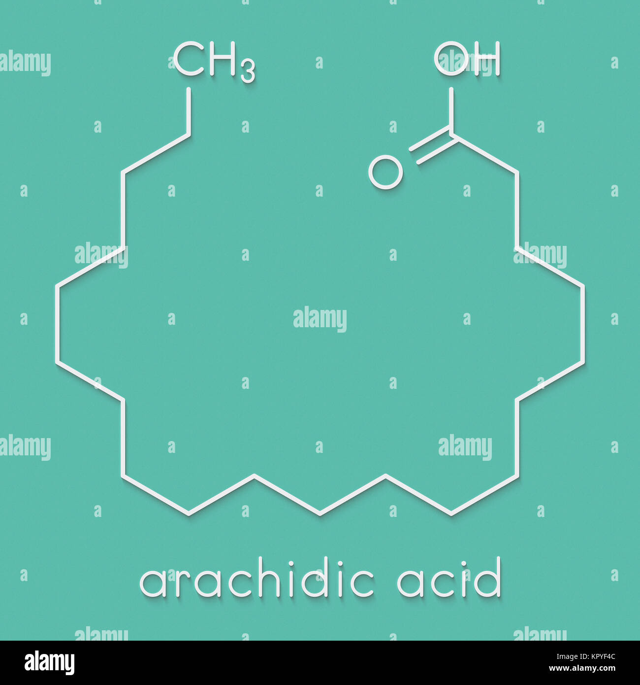 Arachidic (eicosanoic) acid molecule. Saturated fatty acid. Skeletal ...