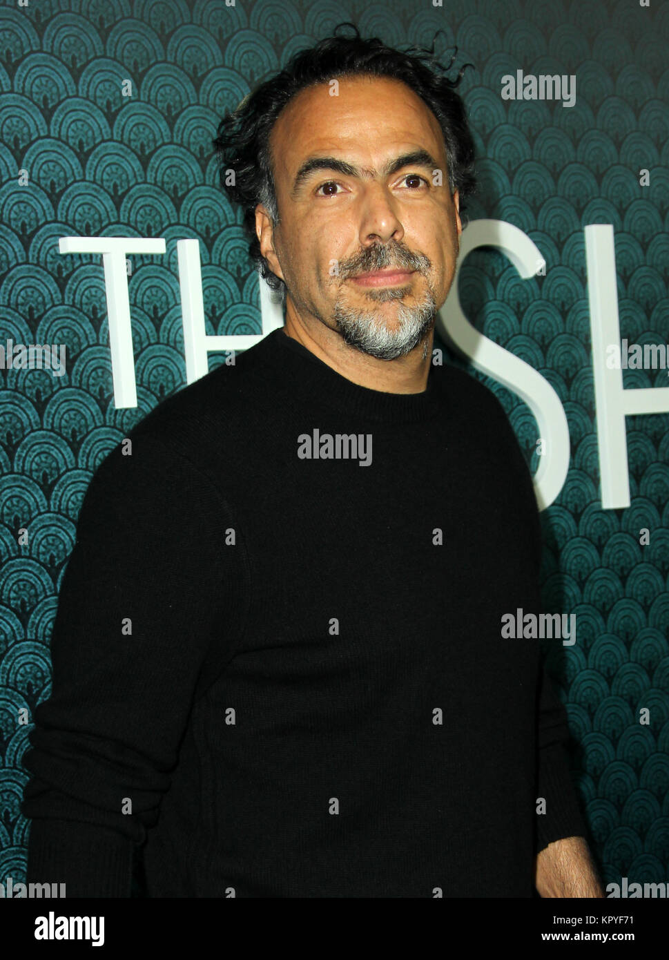 'The Shape Of Water' Premiere held at the Academy of Motion Picture ...