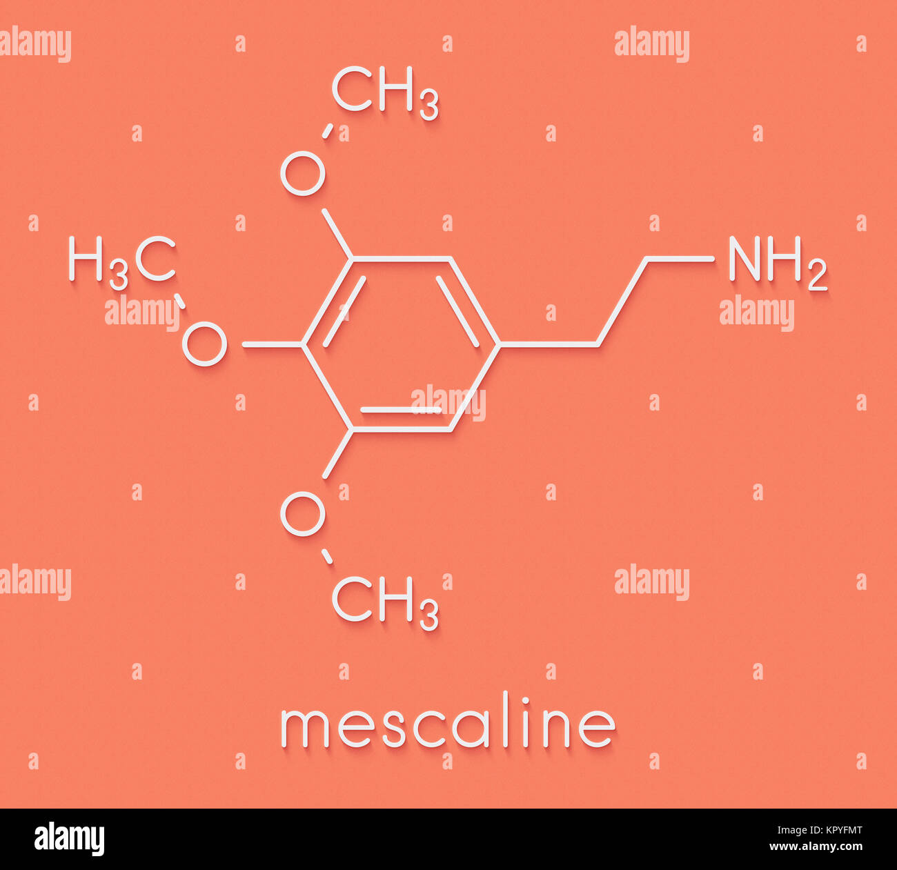 Mescalin cactus hi-res stock photography and images - Alamy