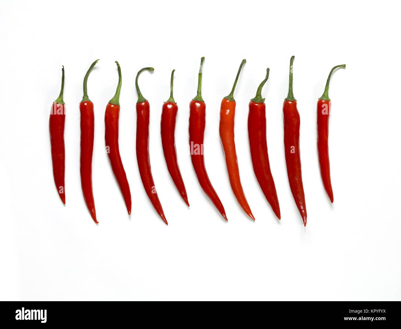 lined up chilis Stock Photo - Alamy
