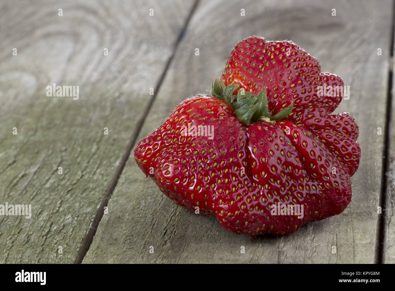 Mutant strawberry hi-res stock photography and images - Alamy
