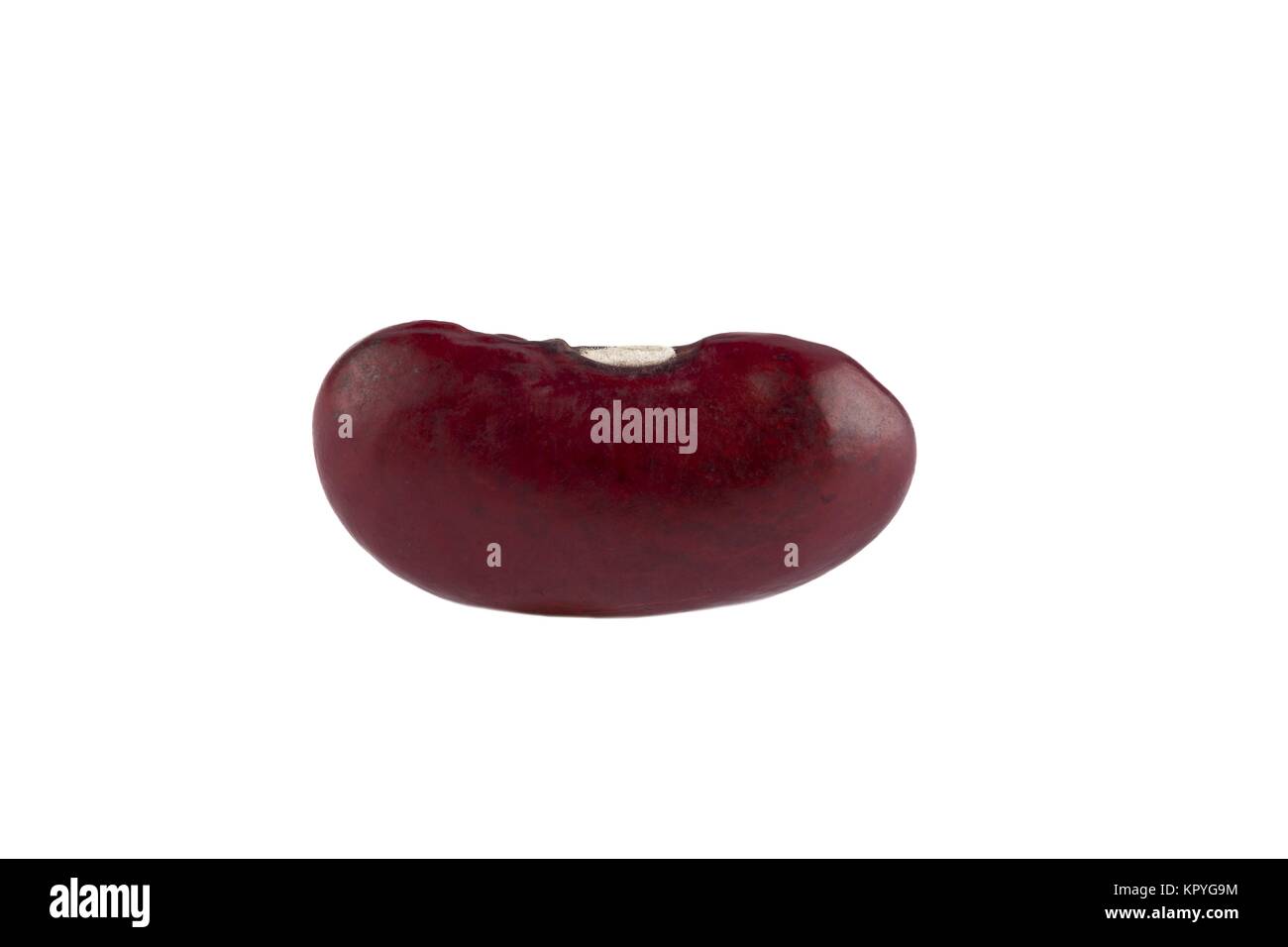 one red bean on white background Stock Photo - Alamy