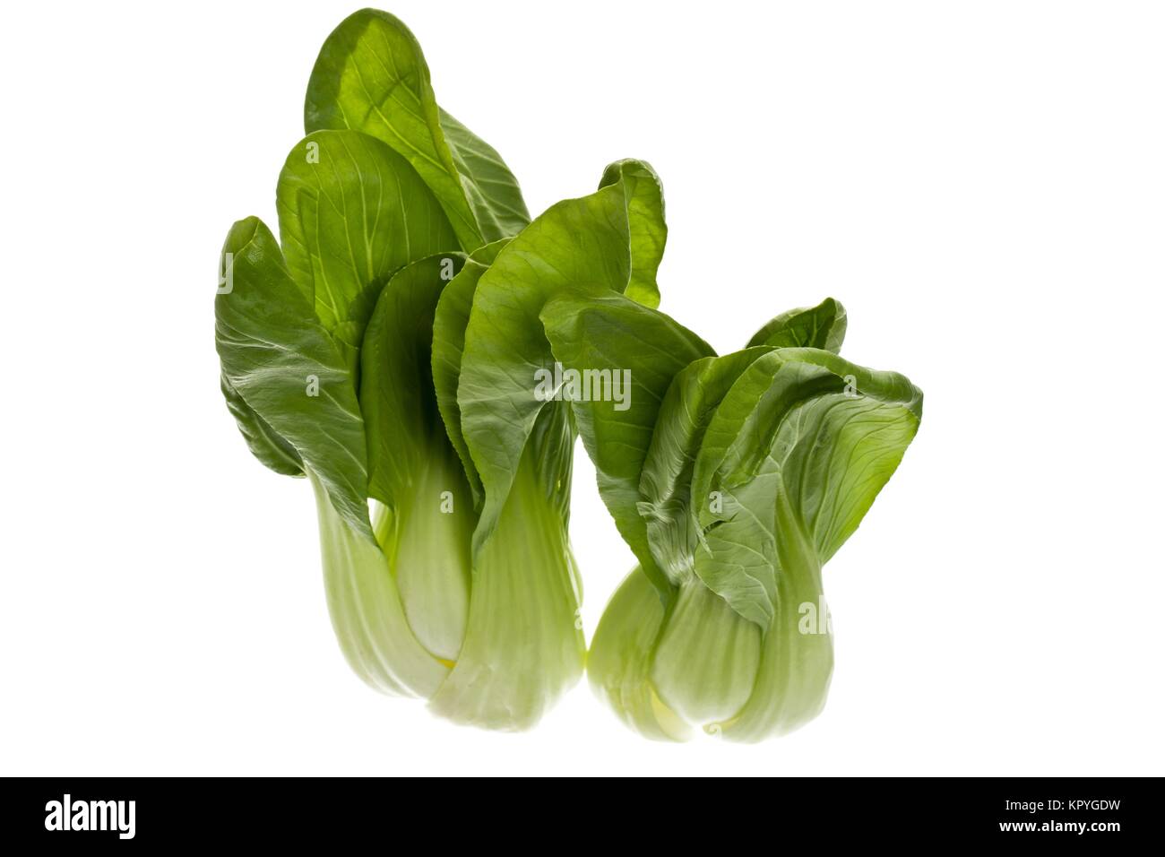 Pechay hi-res stock photography and images - Alamy