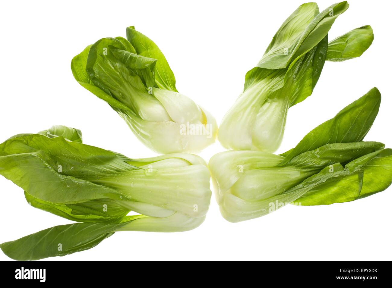 Pechay hi-res stock photography and images - Alamy