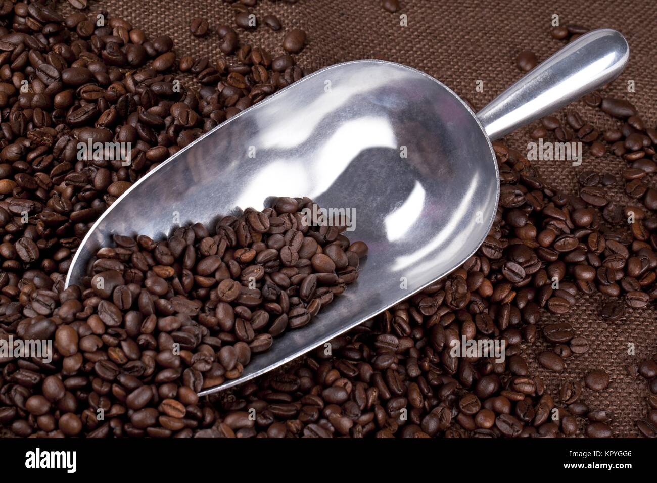 Silver spatula hi-res stock photography and images - Alamy