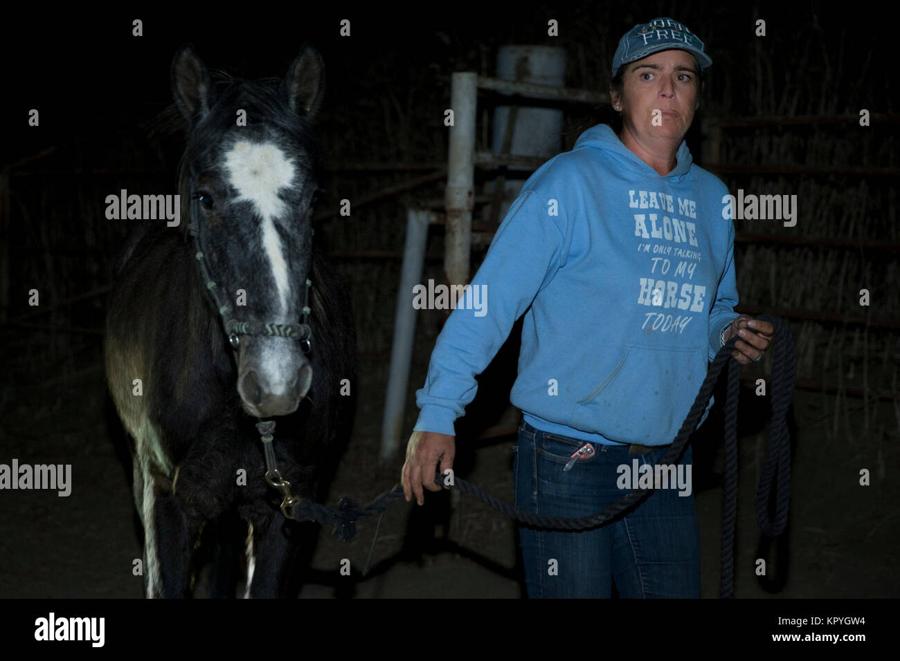 Stepp stables hi-res stock photography and images - Alamy