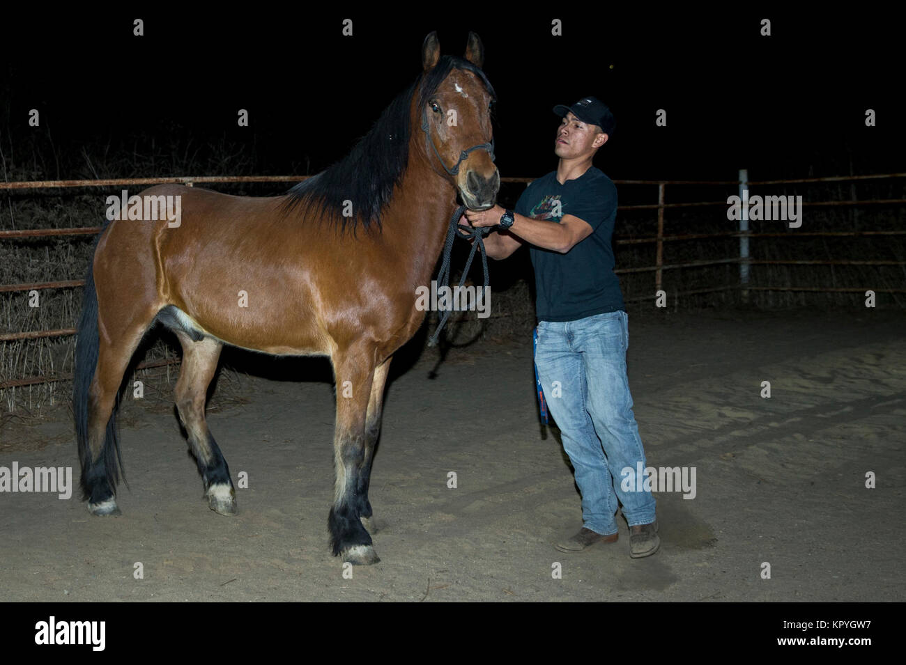 Stepp stables hi-res stock photography and images - Alamy