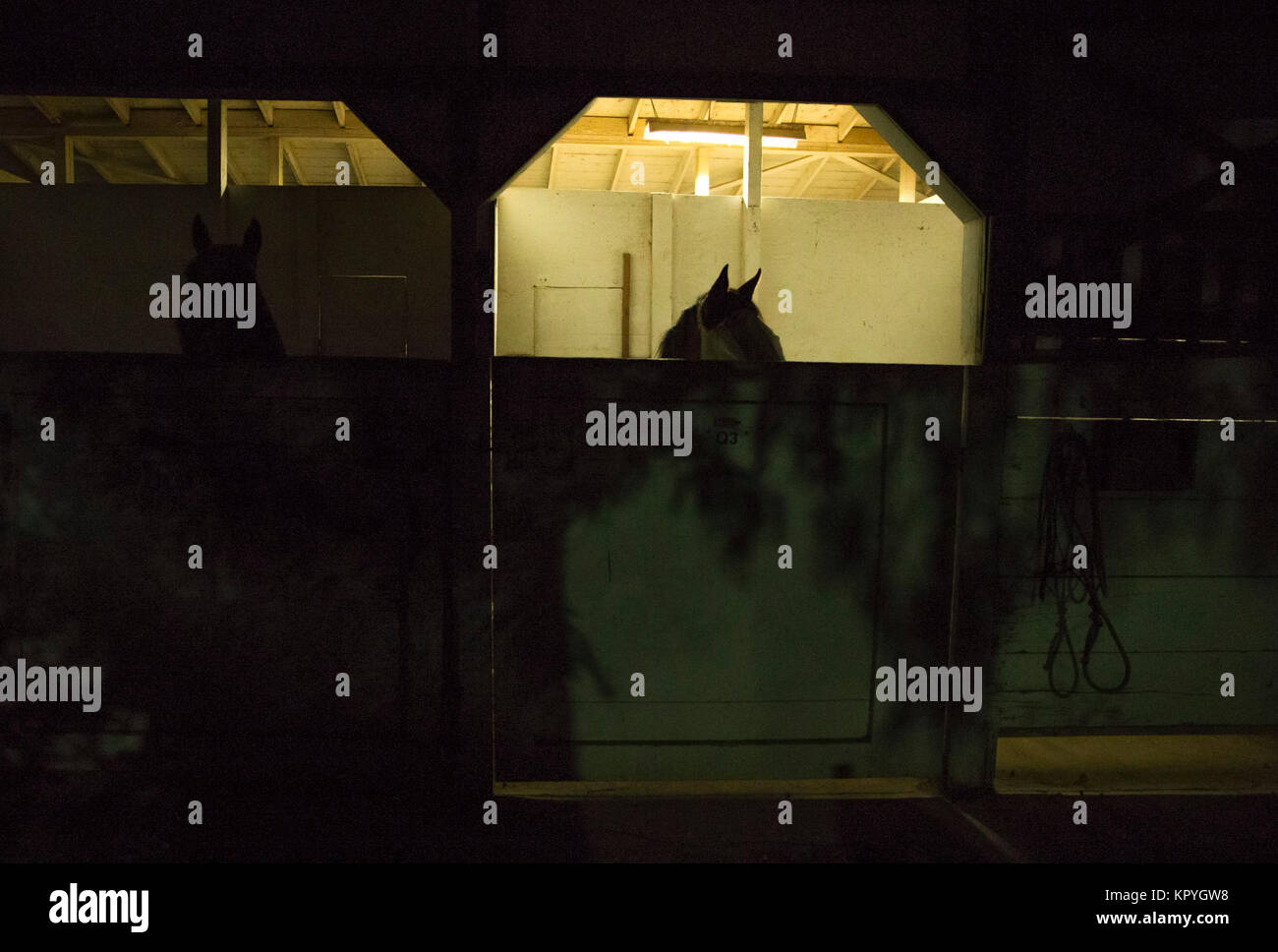 Stepp stables hi-res stock photography and images - Alamy