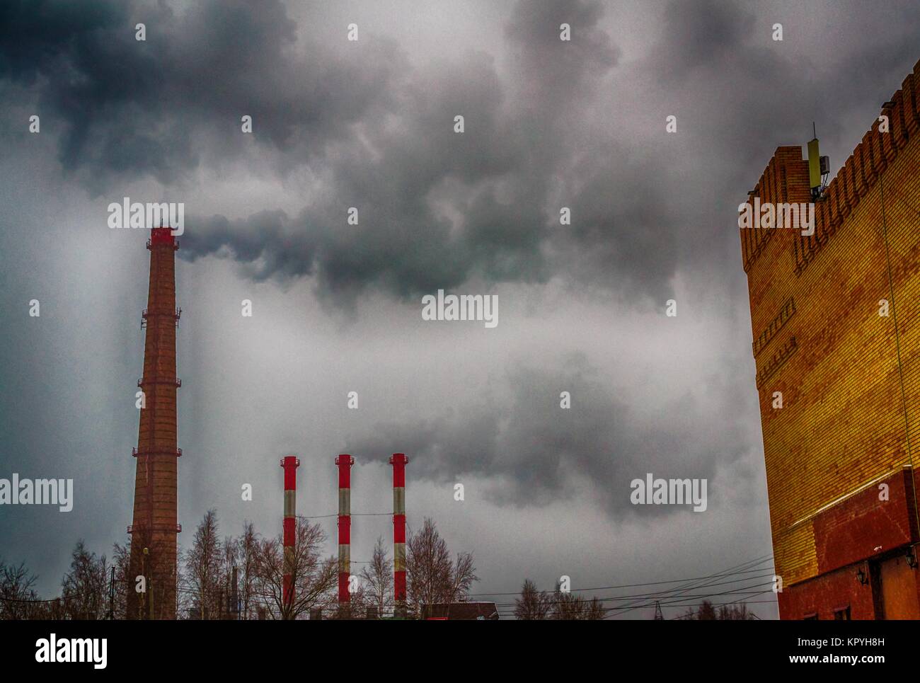 crane construction winter city tree sun crane Stock Photo - Alamy