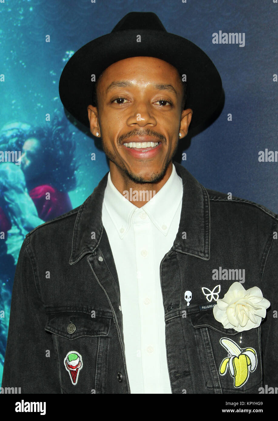 'The Shape Of Water' Premiere held at the Academy of Motion Picture ...