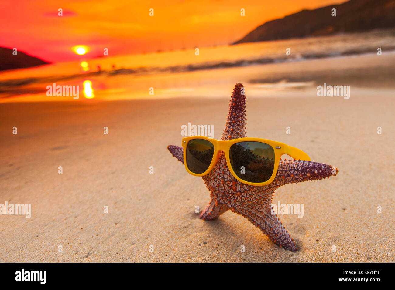 Starfish In Sand Sunset