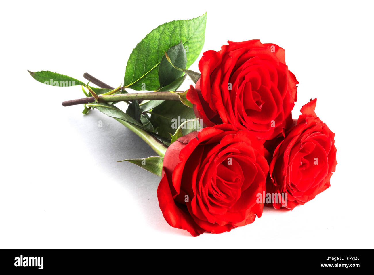 Three beautiful red roses isolated on white background Stock Photo - Alamy