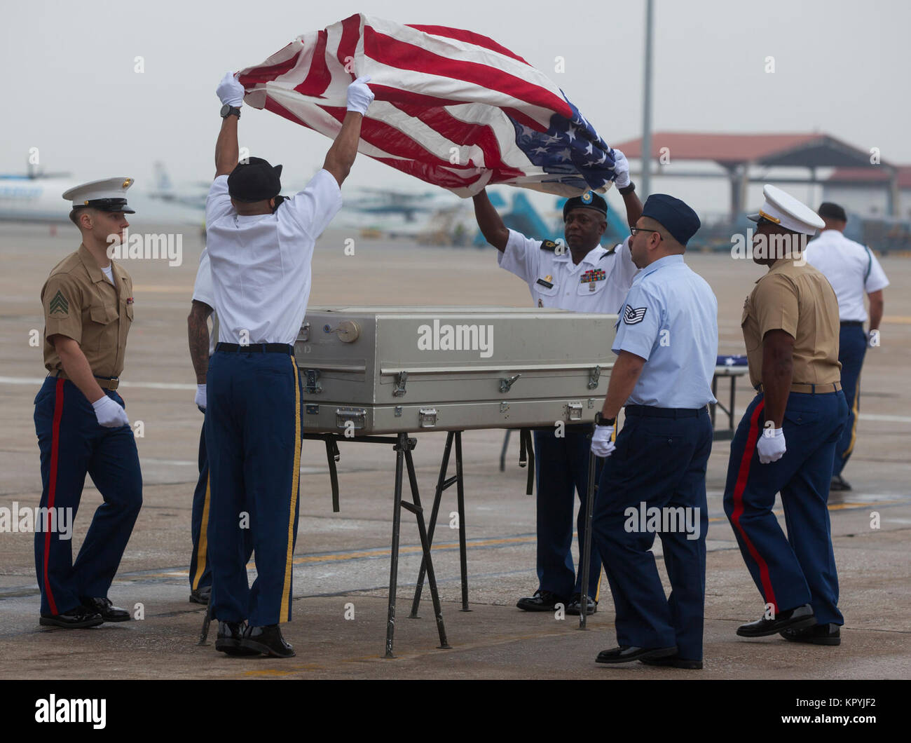U.S. service members assigned to Defense POW/MIA Accounting Agency ...