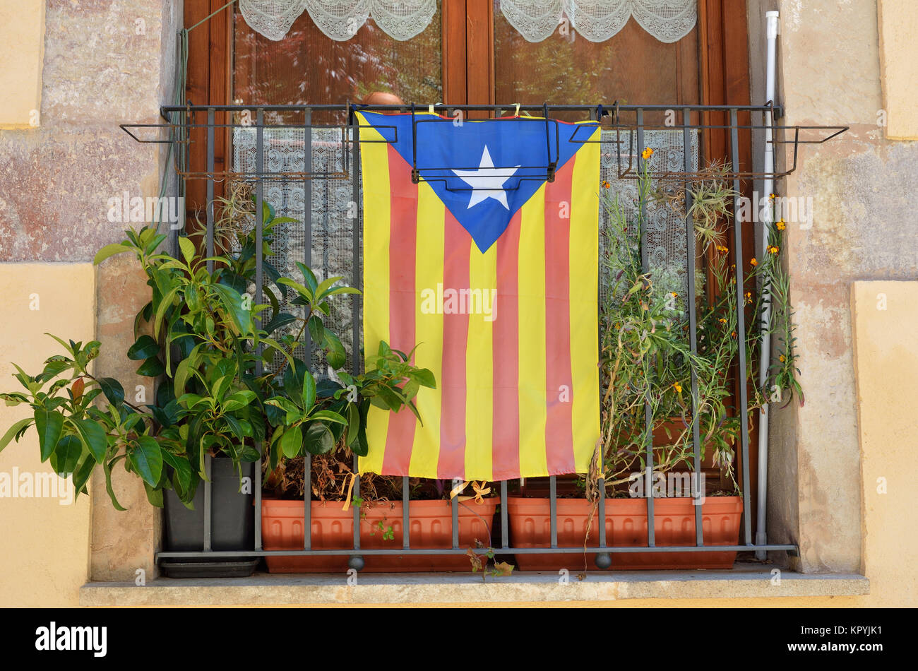 The Estelada in the window Stock Photo - Alamy