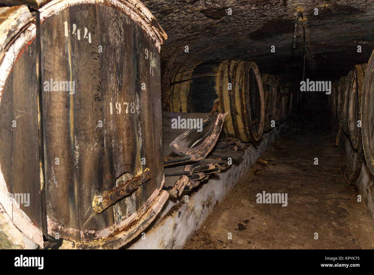 broken old oak barrels,An old wine cellar with oak barrels,barrels for ...