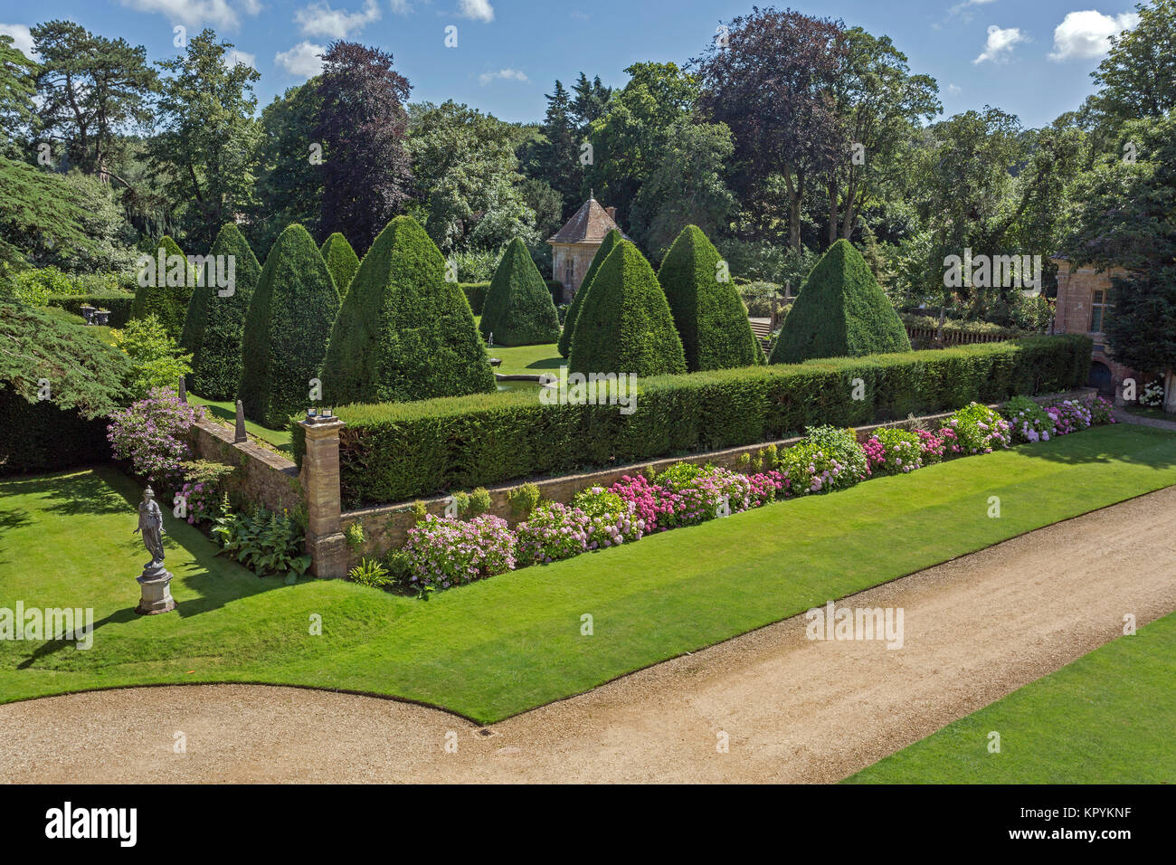 The giant yew pyramids in the Great Court at Athelhampton House ...
