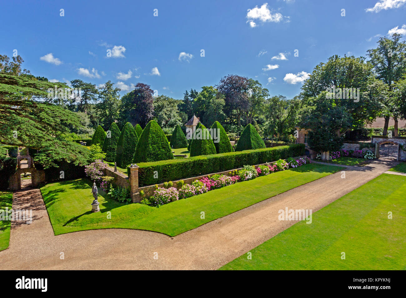 The giant yew pyramids in the Great Court at Athelhampton House ...