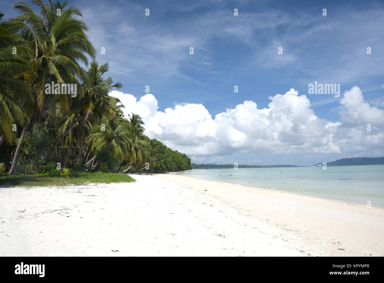 Havelock Island in the Andaman Islands in India Stock Photo - Alamy